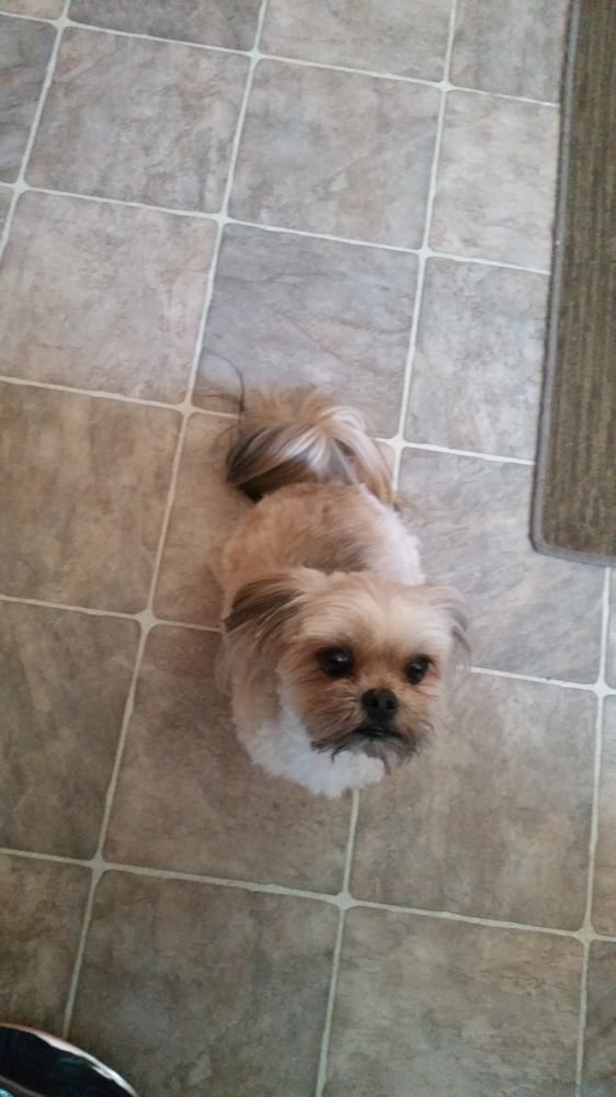 CLUB ENTREPOT - Updated September 2024 - 939 Boulevard Firestone ...