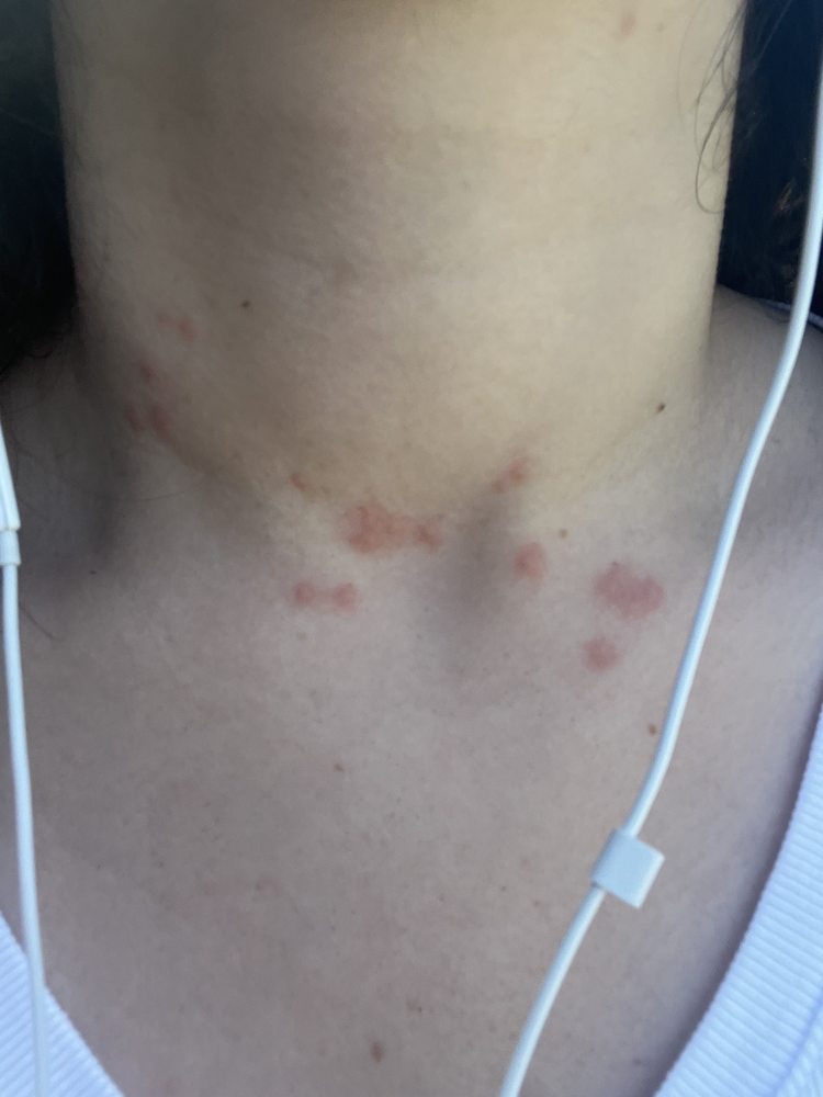 HOLLYWOOD GUEST INN - 12 Photos & 78 Reviews - 6700 W Sunset Blvd, Los ...