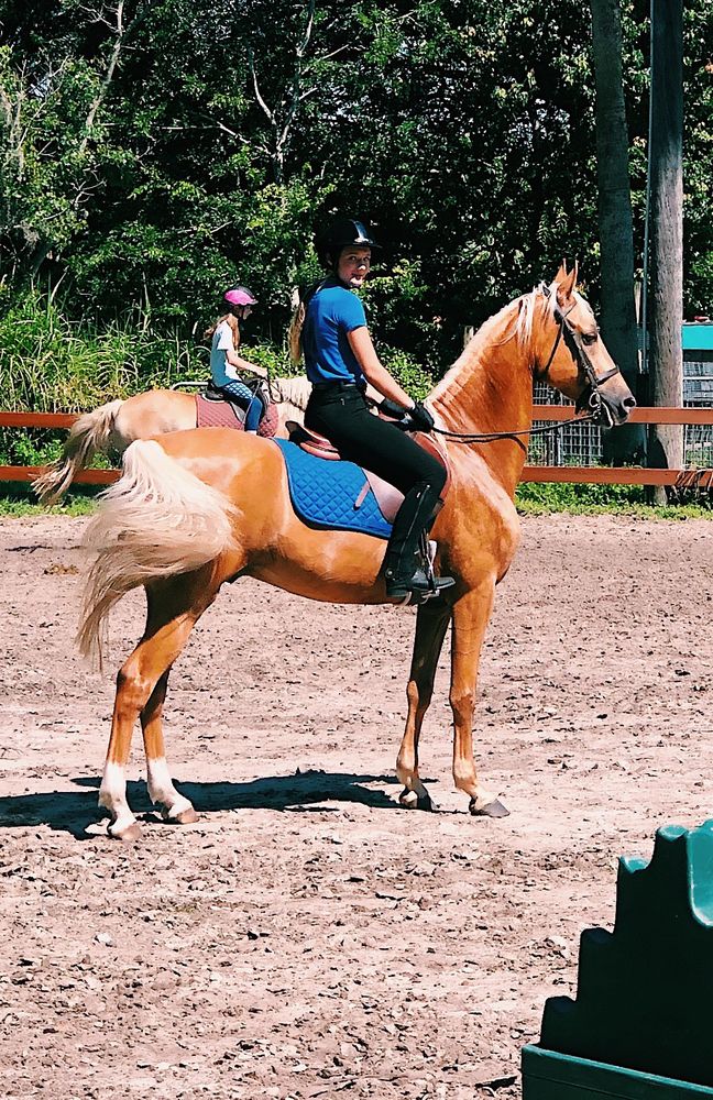 ROSAIRE’S RIDING ACADEMY & PONY RIDES - 27 Photos & 10 Reviews - 901 ...