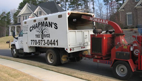 CHAPMAN TREE SERVICE - Updated January 2026 - 68 Photos & 22 Reviews ...