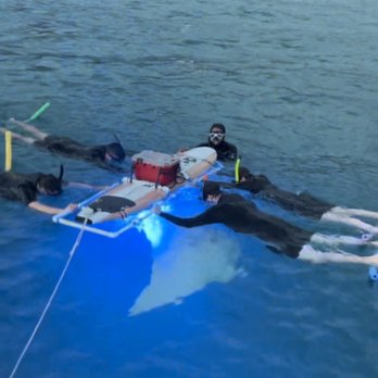 LIQUID HAWAII - Updated August 2024 - 93 Photos & 113 Reviews - Puako ...