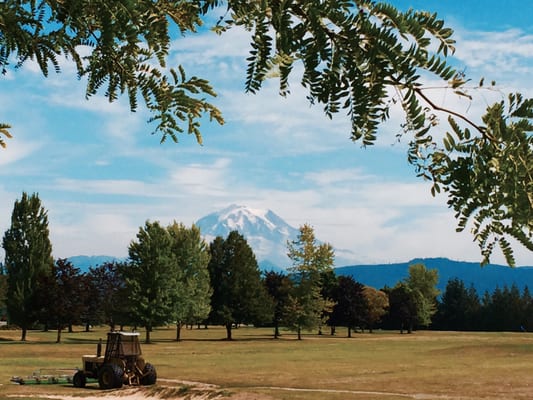 HIGH CEDARS GOLF CLUB - 23 Photos & 61 Reviews - 14604 149th Ct E ...