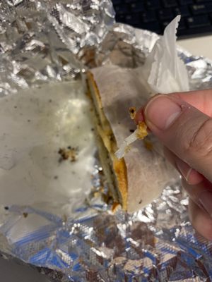 THE SPRING STREET DELI - Updated October 2025 - 17 Photos & 61 Reviews ...