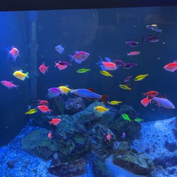 FLOATING SEA AQUATICS - Updated December 2025 - 290 Photos & 65 Reviews ...