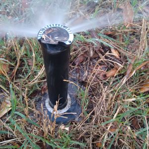 REALMANAGE - Updated February 2025 - 47 Reviews - 6400 International ...