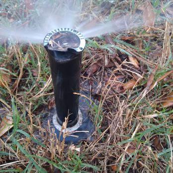 SBB COMMUNITY MANAGEMENT - Updated December 2025 - 17 Photos & 62 ...