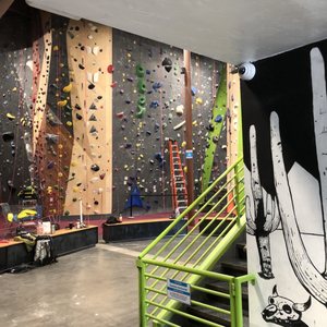 D-BAT - TUCSON - Updated August 2025 - 4439 N Oracle Rd, Tucson ...