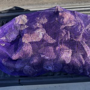 DEWY DEW BUGZ - Updated December 2025 - 40 Photos & 59 Reviews - 9419 ...