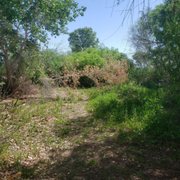 TRES RIOS WETLANDS - 26 Photos - Phoenix, Arizona - Parks - Yelp