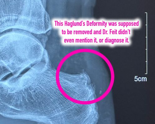 ERIC M FEIT, DPM - Updated July 2025 - 31 Reviews - 3655 Lomita Blvd ...