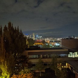 NOBLE ROT - Updated July 2025 - 775 Photos & 742 Reviews - 1111 E ...