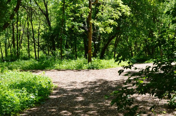 COLONIAL PARK - Updated October 2025 - 32 Photos - 2300 W High St ...