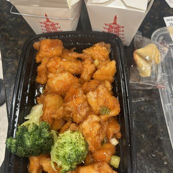 CHANS KITCHEN - Updated November 2024 - 57 Photos & 71 Reviews - 2240 E ...