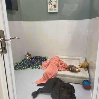 GIVING TREE PET RESORT - Updated December 2025 - 38 Photos & 23 Reviews ...