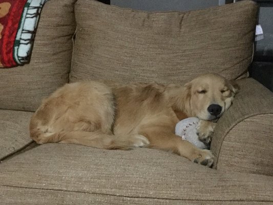 MOORE HUMANE SOCIETY - Updated December 2025 - 12 Reviews - 5355 Nc Hwy ...