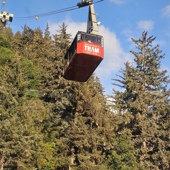 GOLDBELT TRAM - Updated September 2025 - 142 Photos & 21 Reviews - 490 ...