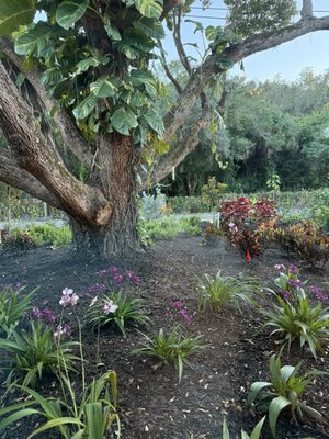 FARM & FLAME - Updated December 2025 - 34 Photos & 16 Reviews - 9320 ...