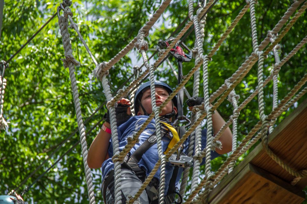 TRINITY FOREST ADVENTURE PARK - 126 Photos & 59 Reviews - Challenge ...