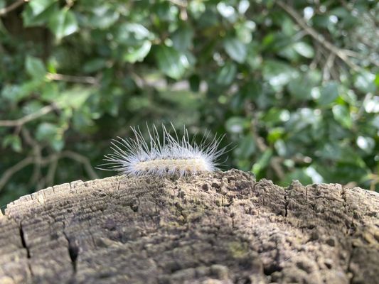 MAYMONT - 1846 Photos & 330 Reviews - Parks - 1700 Hampton St, Richmond, VA - Phone Number - Yelp