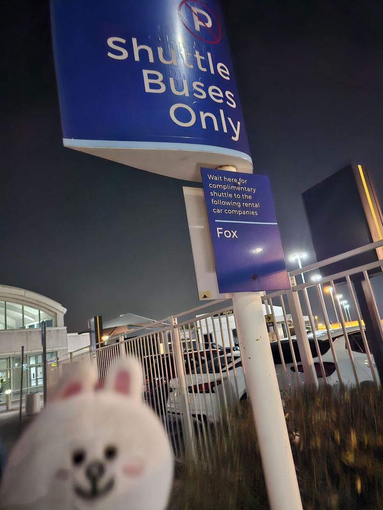 FOX RENT A CAR - Updated January 2026 - 95 Photos & 620 Reviews - 1776 ...