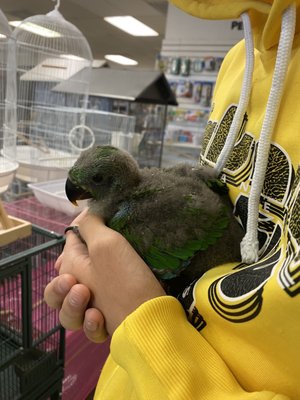 BIRDSMART - Updated June 2024 - 61 Photos & 82 Reviews - 4688 ...