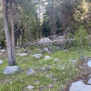 PLASSE’S RESORT - 35 Photos & 30 Reviews - Campgrounds - 30001 Plasse ...