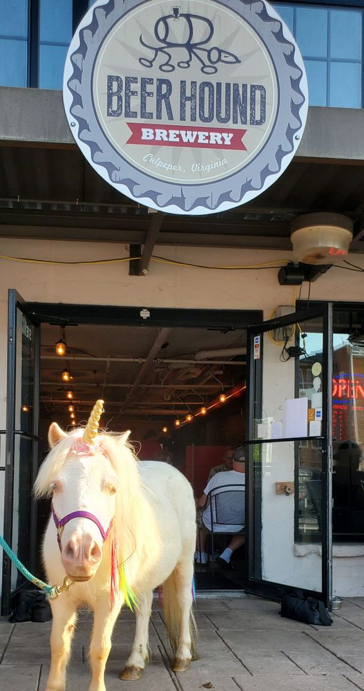 BEER HOUND BREWERY - Updated March 2025 - 109 Photos & 65 Reviews - 201 ...