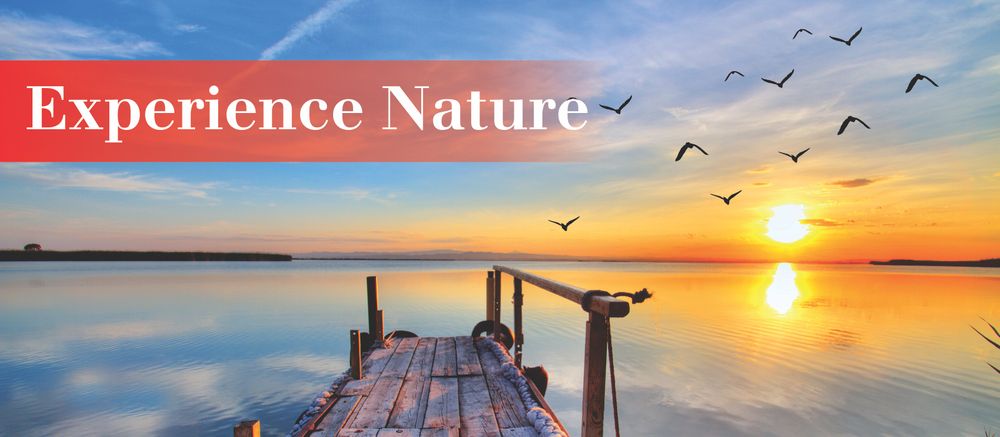 ALEX YIP, MD - 1017 Ashes Dr, Wilmington, NC - Yelp