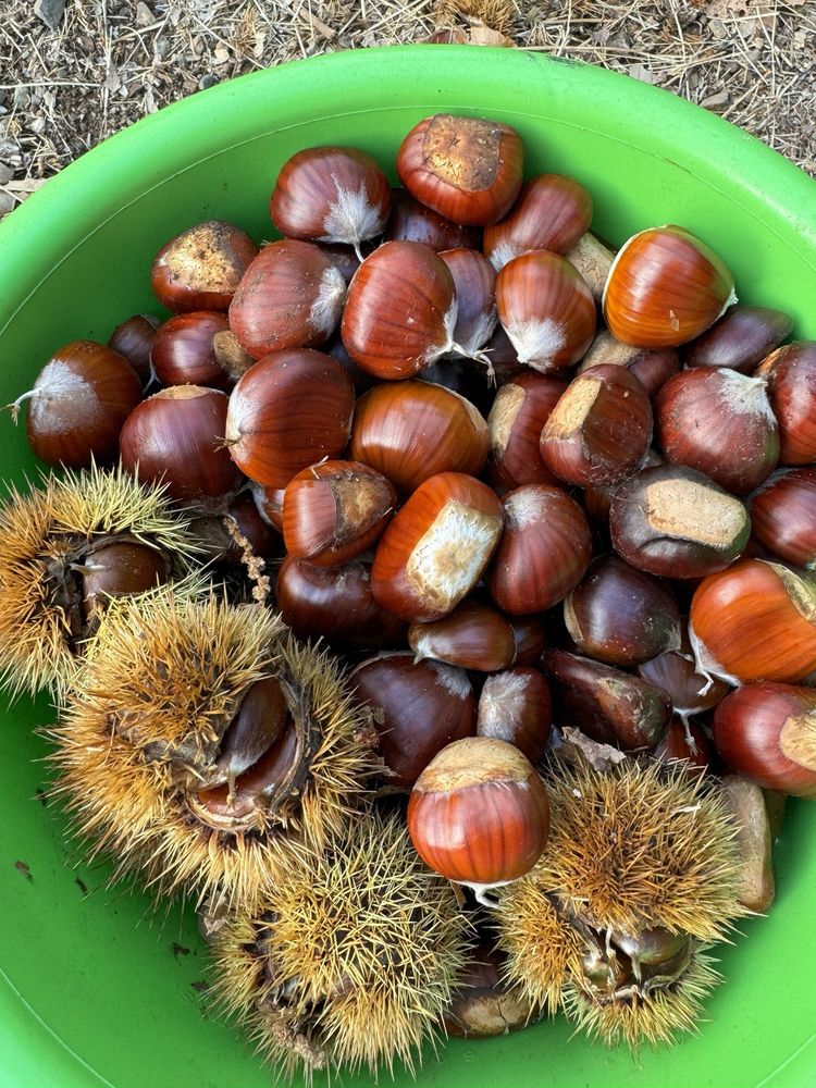 SMOKEY RIDGE RANCH - Updated August 2025 - 27 Photos & 16 Reviews ...