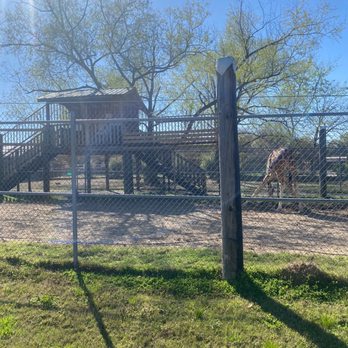 TUPELO BUFFALO PARK AND ZOO - Updated August 2025 - 123 Photos & 32 ...