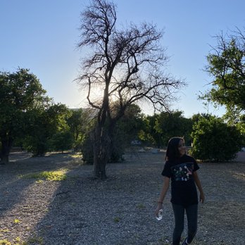 CSUN POND - Updated October 2025 - 337 Photos & 84 Reviews - 18111 ...