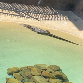 BASS PRO SHOPS - Updated November 2025 - 152 Photos & 38 Reviews - 100 ...