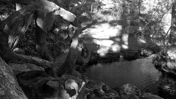 CARLITO SPRINGS - 91 Photos & 25 Reviews - 82 Carlito Springs Rd, Cedar ...