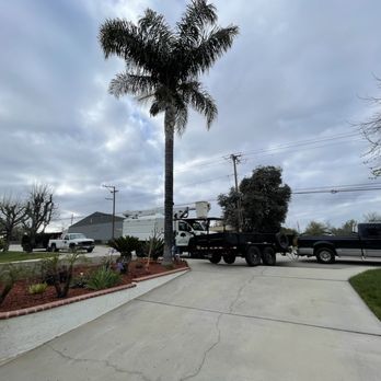 INLAND ARBOR CARE - Updated September 2025 - 122 Photos & 18 Reviews ...