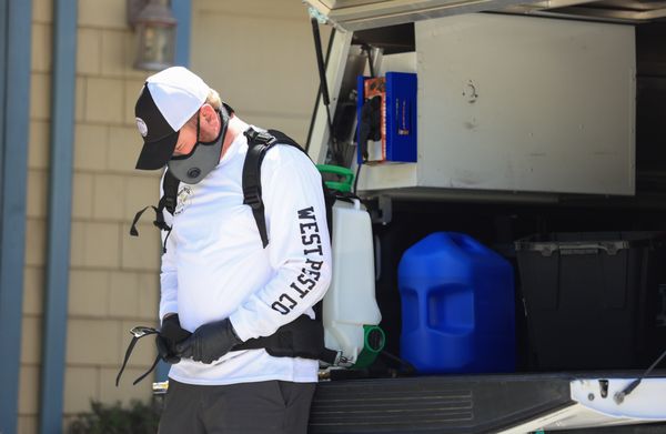 WEST PEST - Updated April 2026 - 16 Photos & 33 Reviews - Watsonville ...