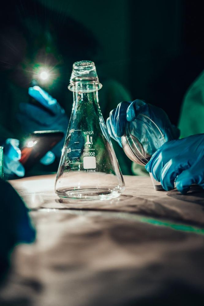 THE DRUNKEN LABORATORY - Updated January 2026 - 48 Photos & 17 Reviews ...