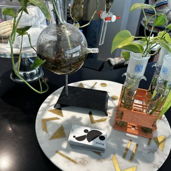 DIALOG - Updated February 2025 - 138 Photos & 44 Reviews - 1001 N ...