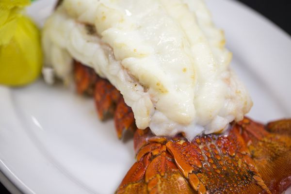 Christner’s Prime Steak and Lobster - 381 Photos & 323 Reviews ...