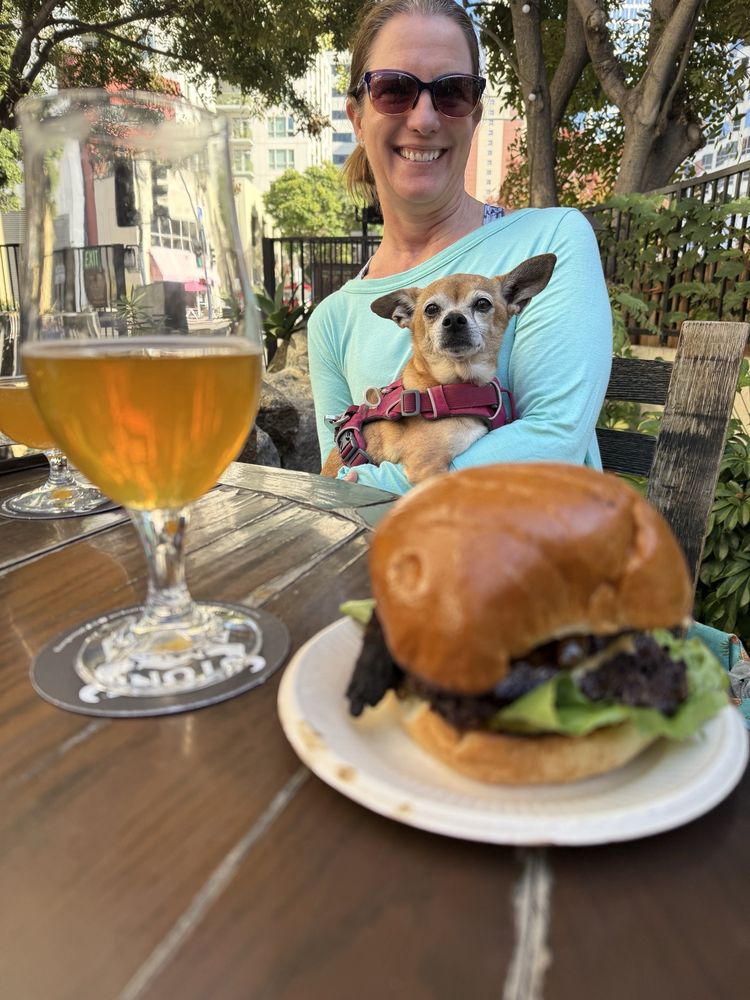 DANK BURGER - Updated January 2026 - 16 Photos & 13 Reviews - 7790 ...