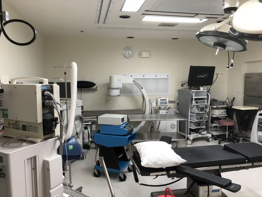 JASON CHIU, MD - THE PAINLESS CENTER - Updated October 2025 - 11 Photos ...