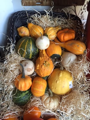 DONNYBROOK FAIR - Updated January 2026 - 12 Photos & 22 Reviews - 89 ...