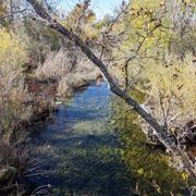 SYCAMORE GROVE PARK - 294 Photos & 74 Reviews - Parks - 1224 Wetmore Rd ...