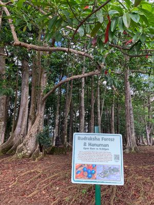SACRED TEMPLE GARDEN/RUDRAKSHA FOREST - Updated May 2026 - 23 Photos ...