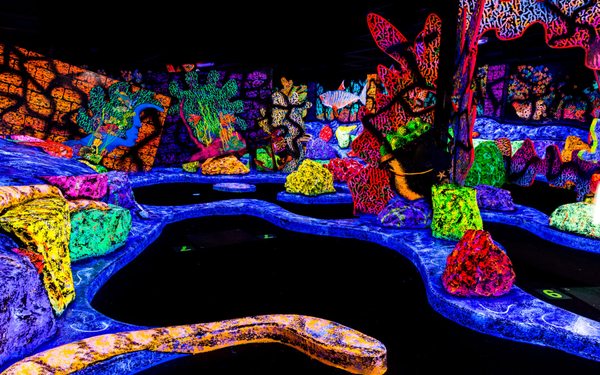 PUTTING EDGE - 12 Photos & 10 Reviews - Mini Golf - 5 Roydon Place ...