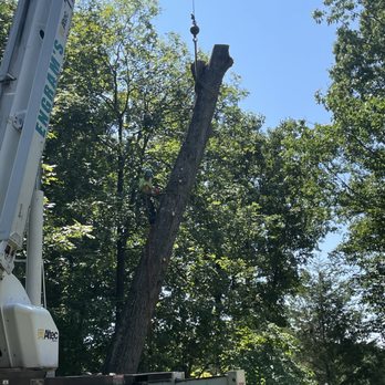 ENGRAM’S TREE SERVICE - Updated August 2025 - 14 Reviews - 674 Roper Rd ...