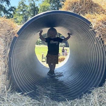 DULL’S TREE FARM - Updated October 2025 - 100 Photos & 52 Reviews ...