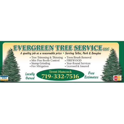 EVERGREEN TREE SERVICE - Updated August 2025 - 11 Photos - Woodland ...