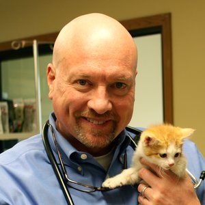 SIMPSON VETERINARY SERVICES - 116 Stephenson Mill Rd, Walton, Kentucky ...