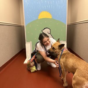 MOSTLY MUTTS ANIMAL RESCUE - Updated October 2025 - 31 Photos - 2774 ...