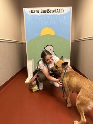 COBB COUNTY ANIMAL SERVICES - Updated September 2025 - 36 Photos & 34 ...